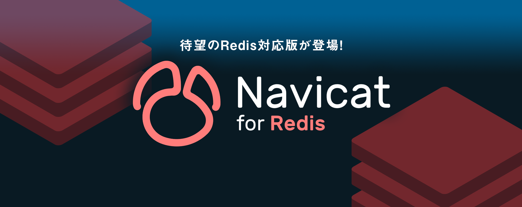 Navicat データベース管理ツール | 法人様向け販売サイト - 法人様に便利な各種書類発行・様々な支払い方法に対応。全世界300万ユーザに利用されているデータベース管理ツール ...